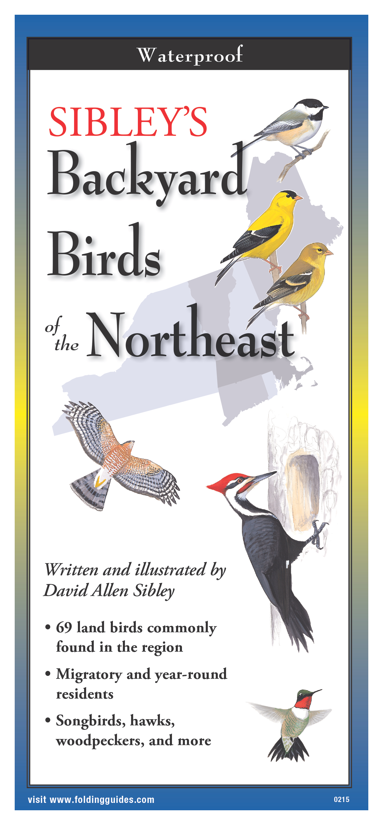 Sibley's Backyard Birds of the Northeast Laminated Folding Guide by ...